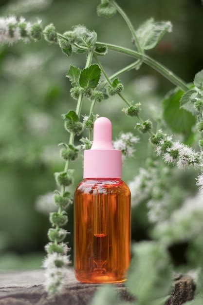 Premium Photo A Bottle Of Mint Oil On A Tree Stump Essential Oil