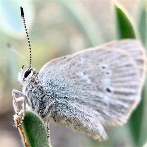 9 Stunning New Species Scientists Discovered In 2025