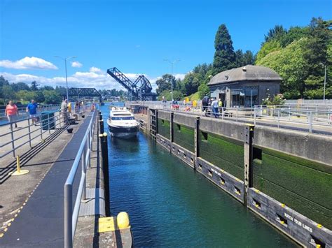 Ballard Hiram M Chittenden Locks Seattle What To Expect Timings