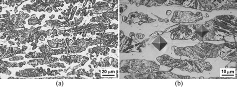 Microstructure Of Specimen Qt500 Observed In The Lom A General View