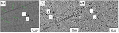 Microstructure Of The Initial Ingot A The Sample 1650˚c 1000