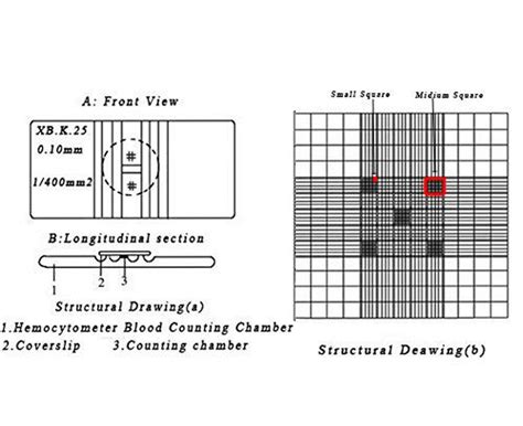 Medical Hemocytometer Blood Cell Counting Neubauer Chamber 53 Off