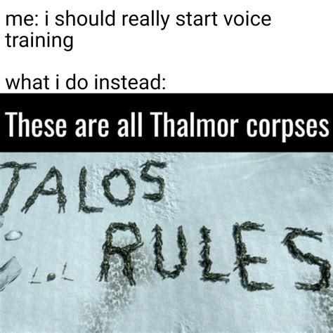 I Keep Telling Myself To Start But I Wont Because The Thalmor Must Be
