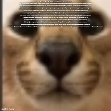 Read Desc Imgflip