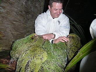 Kākāpō Wikipedia
