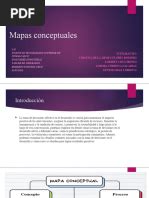 Mapa De Consenso Herramienta De Decisión Pdf Toma De Decisiones