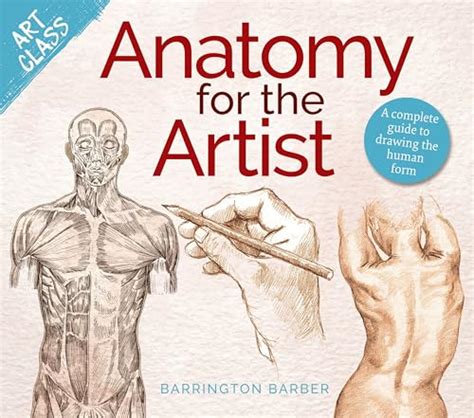 Art Class Anatomy For The Artist A Complete Guide To Drawing The