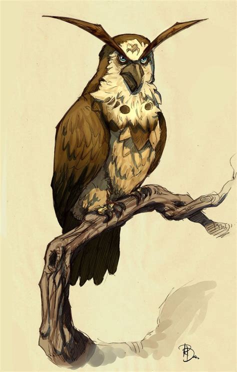 Kaepora Gaebora By R On Deviantart Legend Of Zelda Tattoos Zelda Art