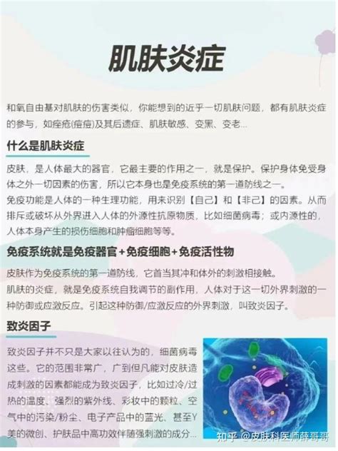 皮肤炎症｜科普篇 知乎