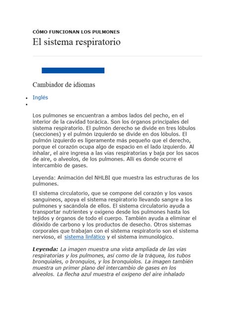 Cómo Funcionan Los Pulmones Pdf Pulmón Sistema Respiratorio