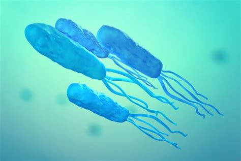 Everything You Need To Know About Xifaxan