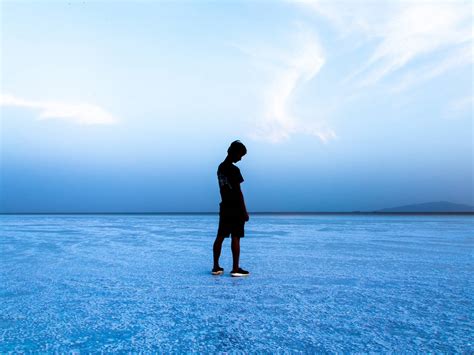 Android Webview Pdf Kotlin Java Tech Blog