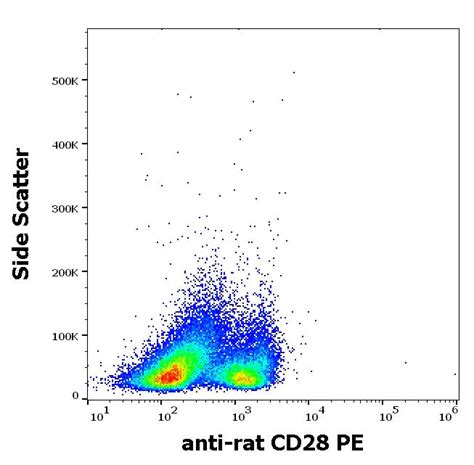 Anti Cd28 Pe Antibody Jj319 Ab176502 Mouse Monoclonal Igg1 Abcam