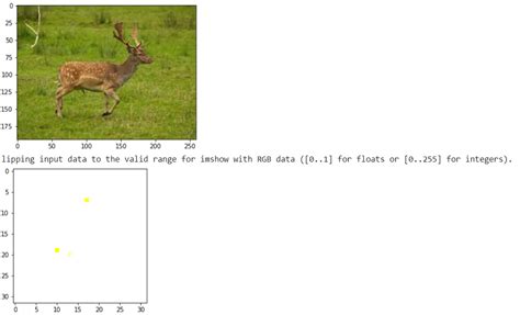 python tensorflow image resize does not work as expected stack overflow
