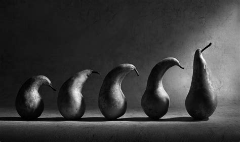 Evolution Wallpaper Happywall