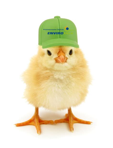 Nour Elyakine Edarkaoui Posted On Linkedin