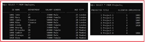Exists Operator In Oracle With Examples Dot Net Tutorials