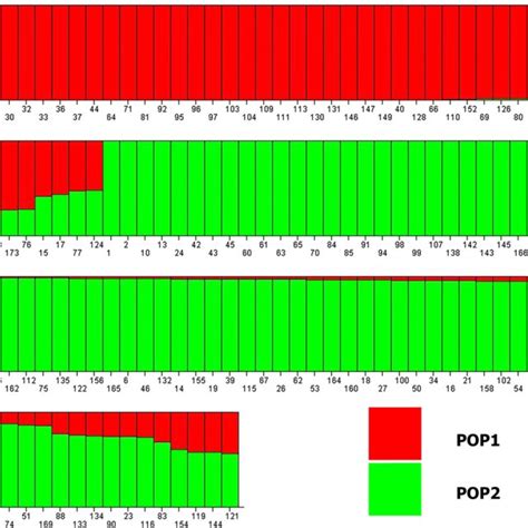 Population Structure Obtained For 173 Common Bean Accessions Based On