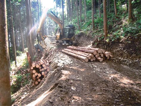 第1部 第1章 第2節 森林整備の動向（2）：林野庁