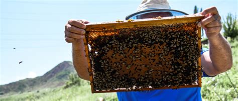 Imprisonment Beekeeping And The Power Of Your Prayers Meet Evgeny