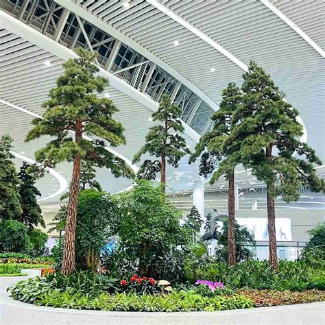 Artificial Pine Trees For Indoor Decoration Oakco
