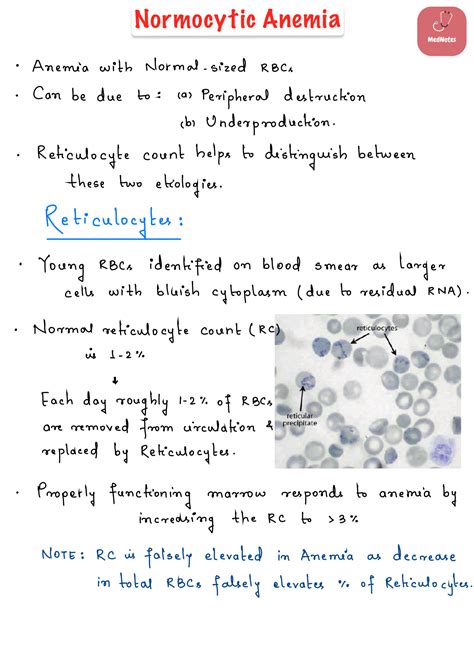 Solution Anemia 5 Normocytic Anemia Studypool