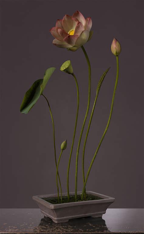 Bas Meeuws Galerie Wilms