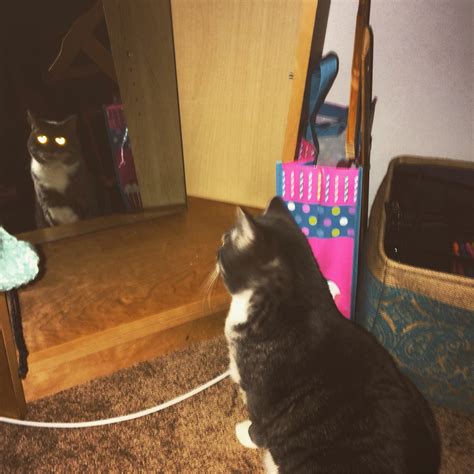 We Thought He Was An Asshole But He Just Really Loves Himself R
