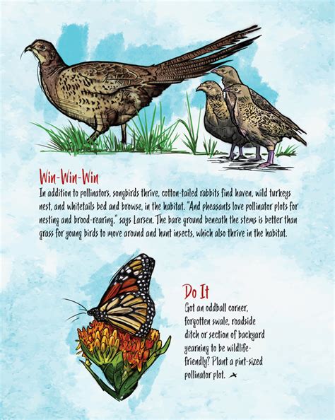 This Story Originally Appeared In The Pheasants Forever Journal To Support Pheasants Forevers