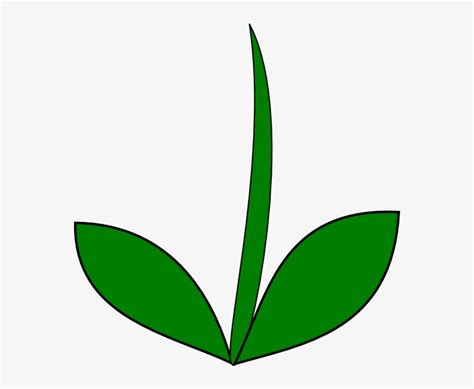 Flower Stem Clipart Flower Stem Png Images Pngegg
