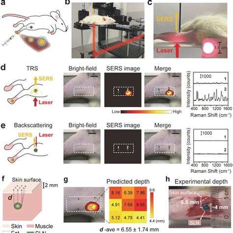 A D Adapted From 25 Basic Waveguide Structures Slab Waveguide