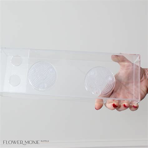 Clear Round Pin Frog Foam Free Floristry Flower Moxie Supply