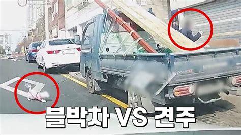 강아지 방치 견주 Vs 전방 주시 블박차💥 누가 더 잘못했을까 한블리 한문철의 블랙박스 리뷰 15회 Jtbc