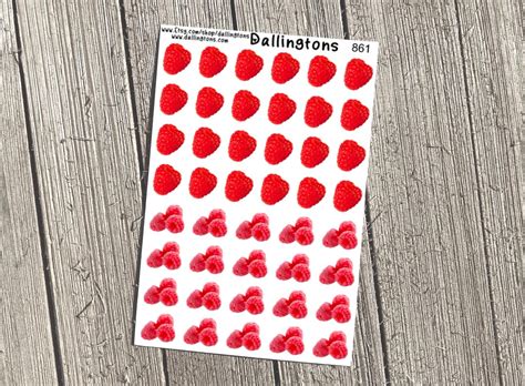 Raspberry Stickers 861 Tiny Stickers For Books And Planners Etsy