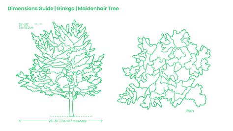 Dimensions Database Of Dimensioned Drawings
