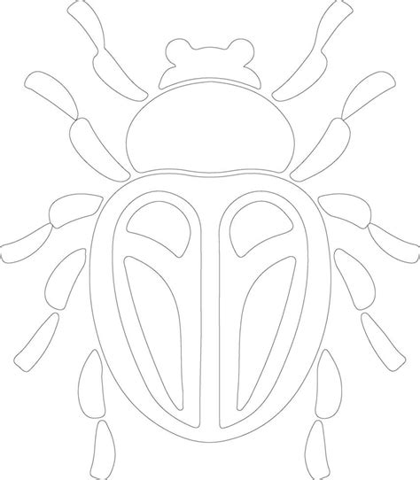 Junebug Outline Silhouette 38493623 Vector Art At Vecteezy