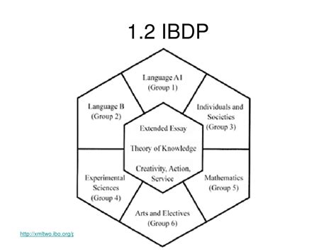 Ppt Impact Of The Cas Service Element On Ibdp Graduates Powerpoint Presentation Id 9341714