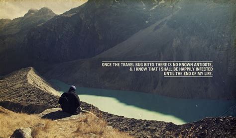Bug Quotes Quotesgram Bug Quotes Quotesgram