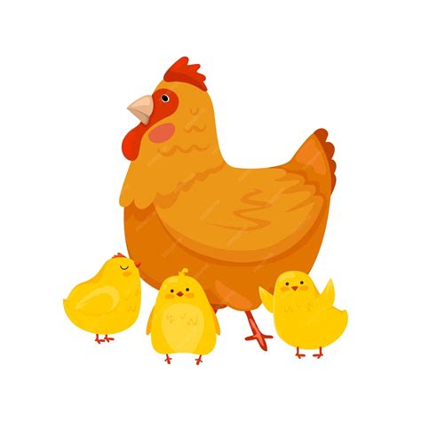 Una Mamá Gallina Camina Con Sus Pollitos Recién Nacidos Vector Premium