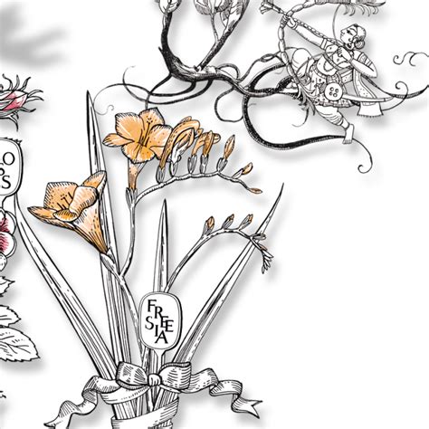 Diptyque花园 花瓣网