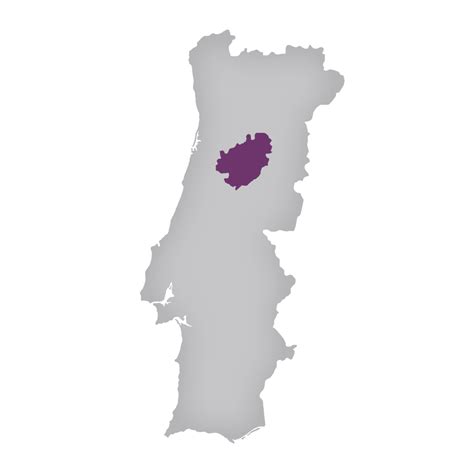 Dao Branco Maceration Adega De Penalva Skurnik Wines And Spirits