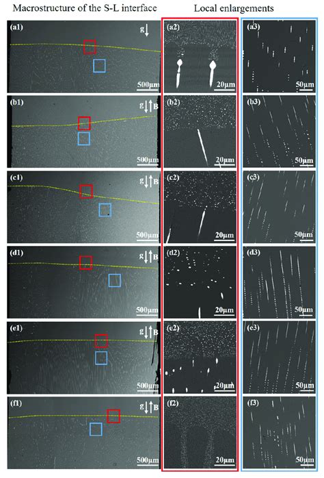 The Morphology Of The S L Interfaces And Microstructures Of Ingots
