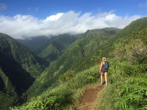 What To See Year Round In Maui Nffo