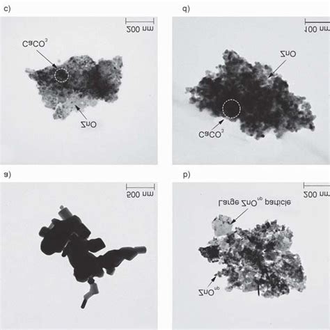 Optical Density Of Bacteria Suspension E Coli Gram Negative By Download Scientific Diagram