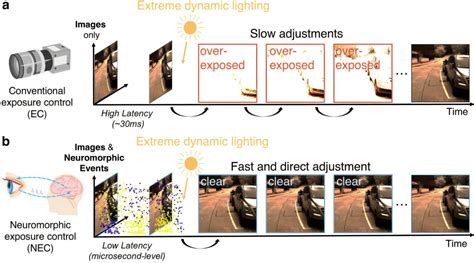 Neuromorphic System Enhances Machine Vision In Extreme Lighting