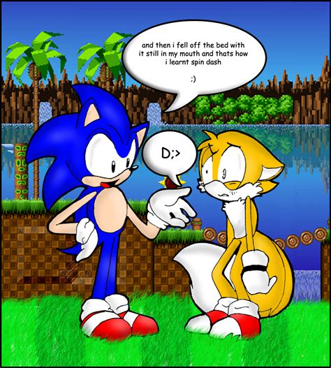 The Spin Dash By Raven The Hedgehog On Deviantart