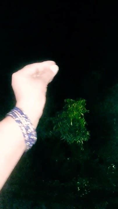 Soild Body Youtubeshorts Internettrends Viral Shorts Youtube