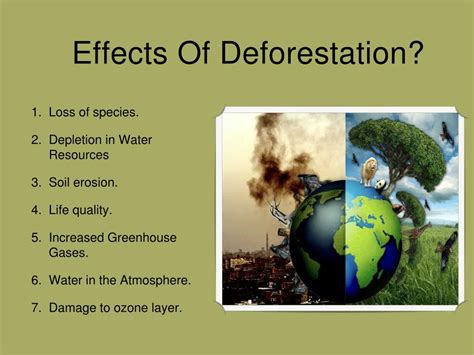 Ppt Deforestation And Its Effects Powerpoint Presentation Free