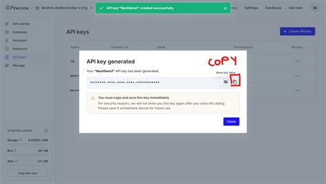 How To Get Api Key From Pinecone Dev Community