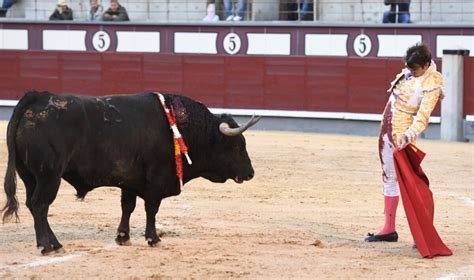 Adrián De Torres Cita A Matar O Morir En Las Ventas Aplausoses